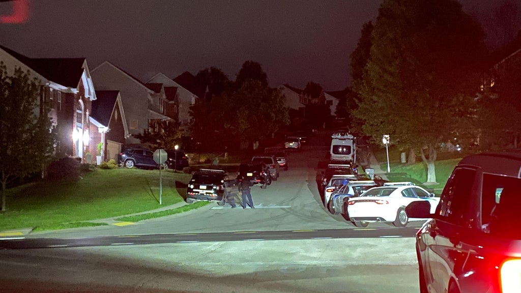 Police identify couple in Seven Fields murder-suicide