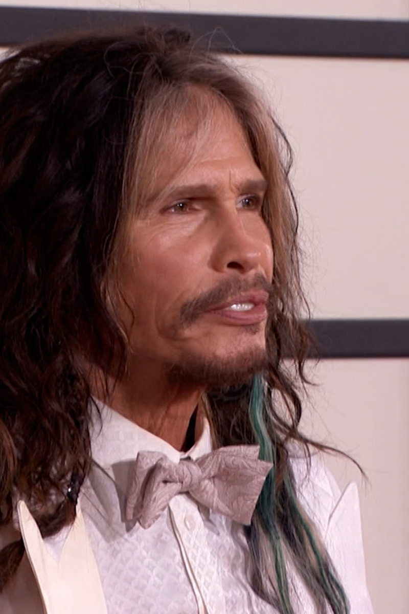 Plus qu'une rockstar : comment Steven Tyler a transformé la célébrité ...