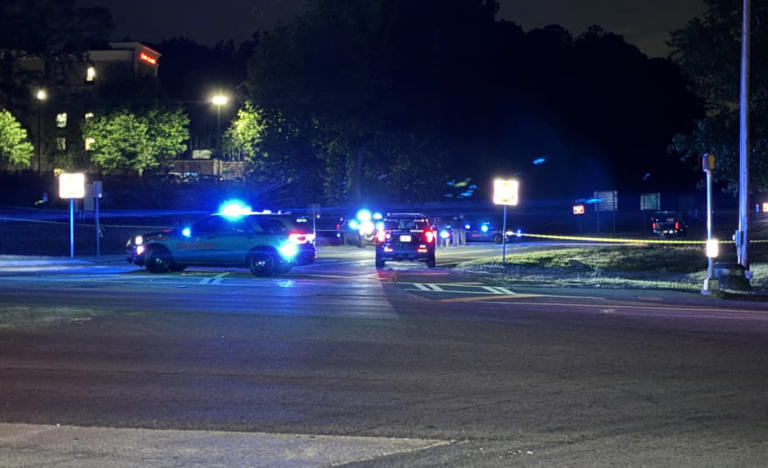 Driver shoots, kills self after being pulled over on I-985 in Hall ...