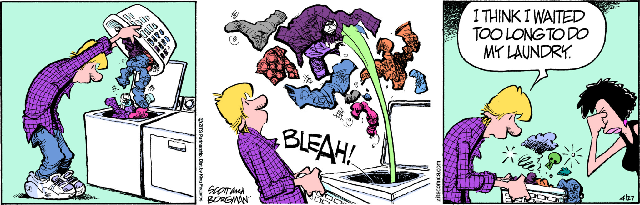 Zits by Jerry Scott and Jim Borgman
