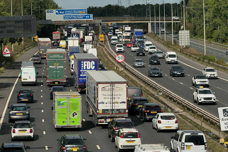 Drivers should turn off key car feature when travelling with dogs