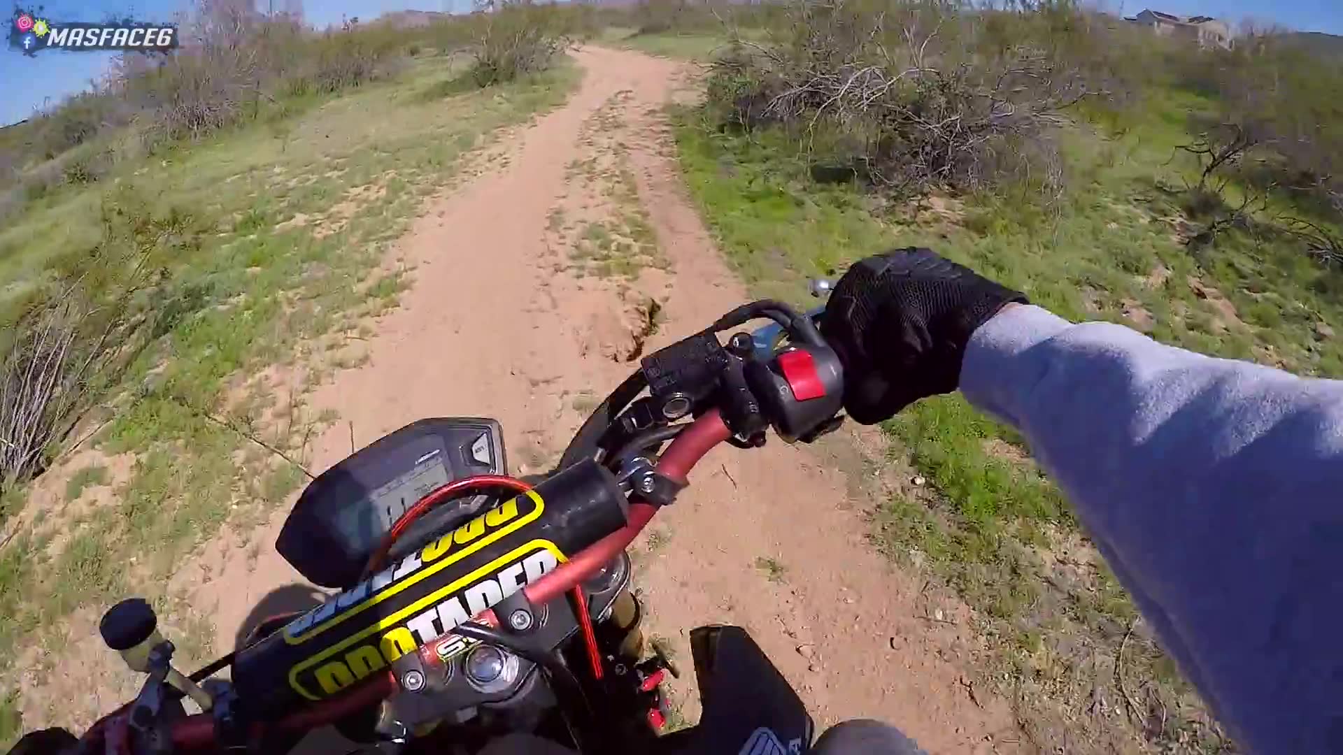 The groms are back! Grom adventures episode 12 caught on camera during ...