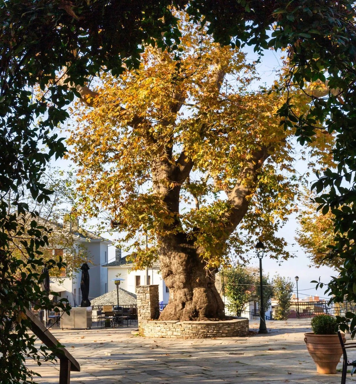Πορταριά Πηλίου: Φύση και Αρχιτεκτονική