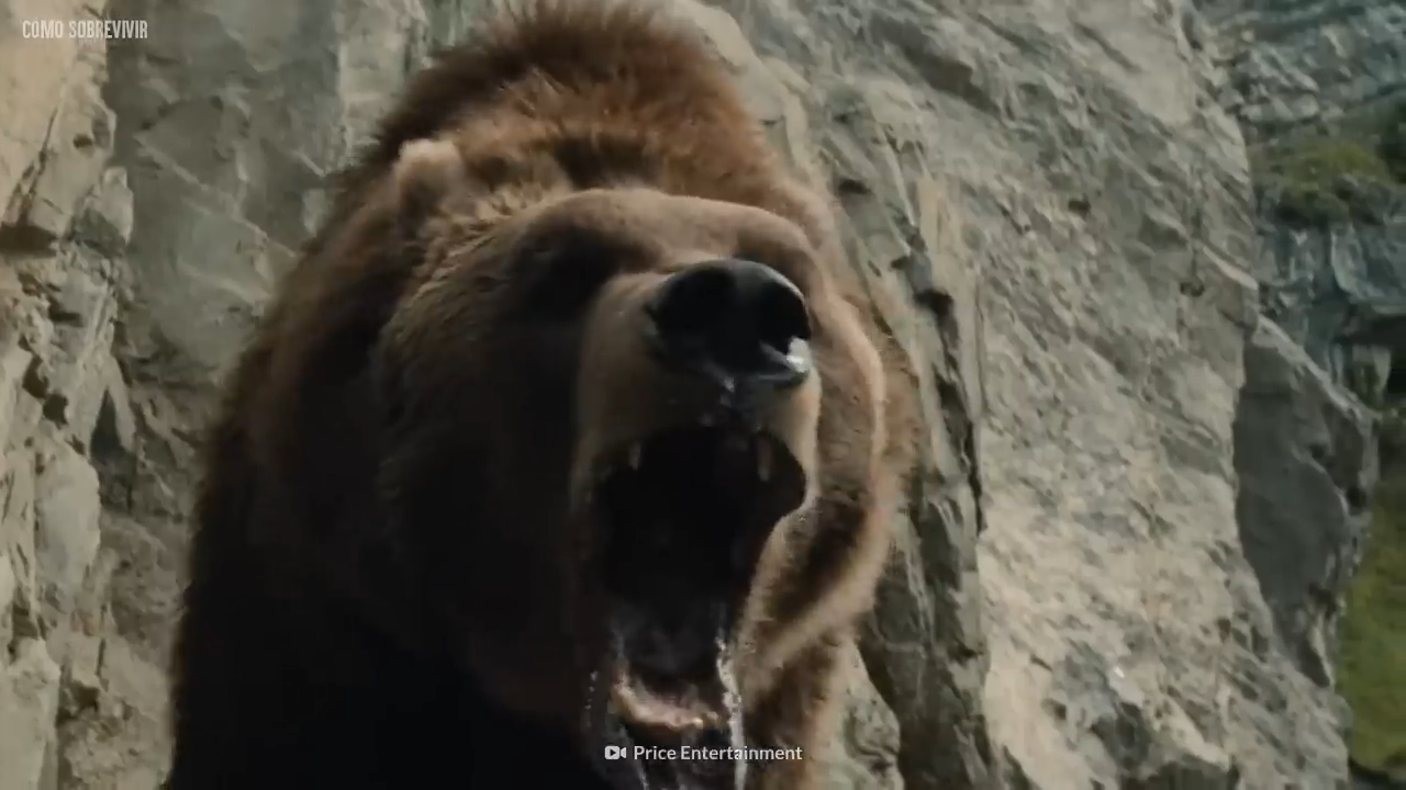 Mira cómo sobrevivir cuando un oso comienza a embestir