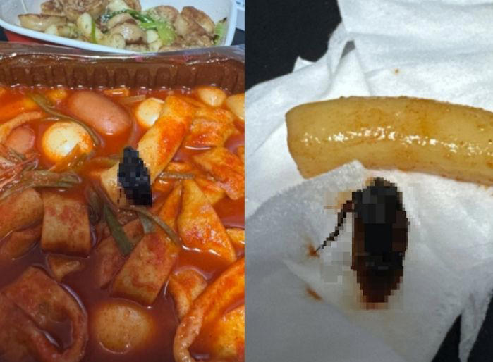 “부분 환불만 해주더니?” 삼첩분식 바퀴벌레 논란, 폭로글 삭제된 뒤 밝혀진 뒷이야기