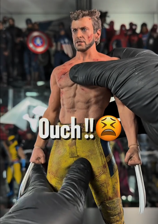 This Is Why Collectors Should Always Wear Gloves Explained