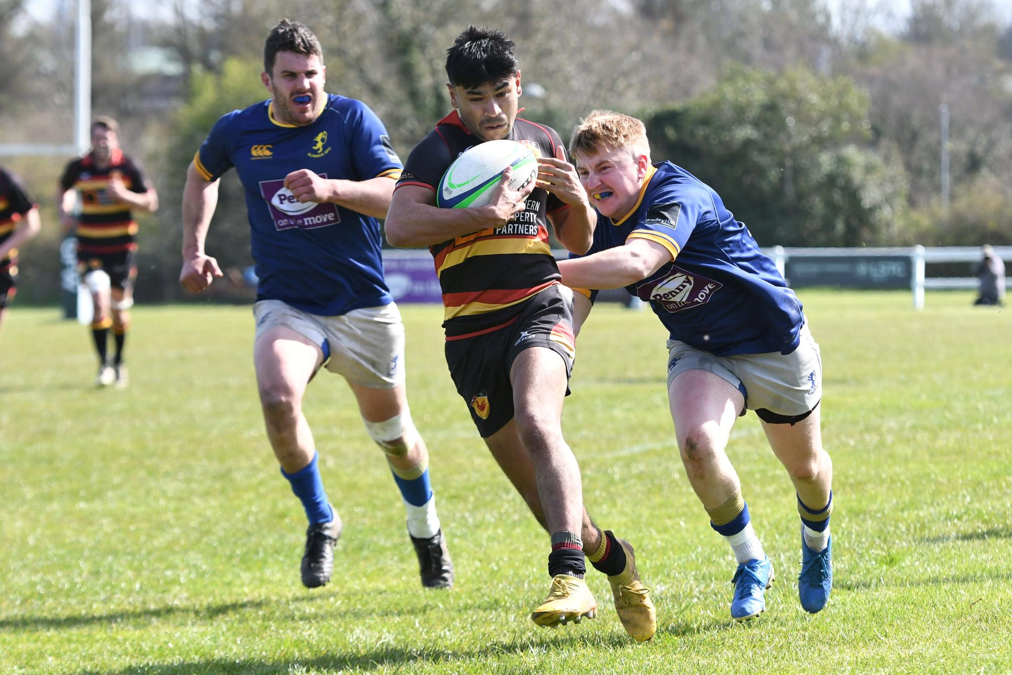 Harrogate RUFC produce 'best performance of the season' to stun Alnwick ...
