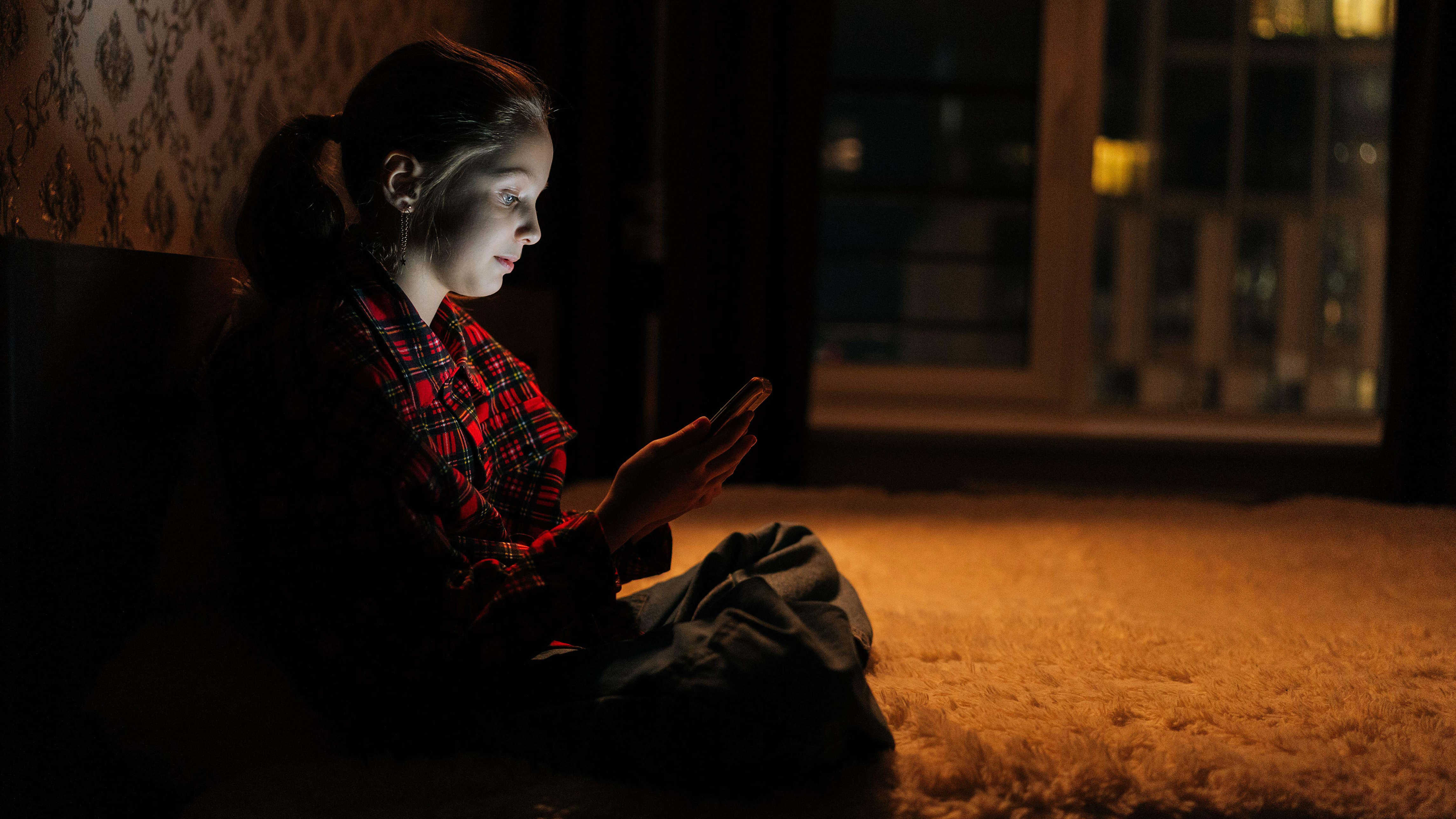 Social media restrictions for children 'need to stand test of time ...