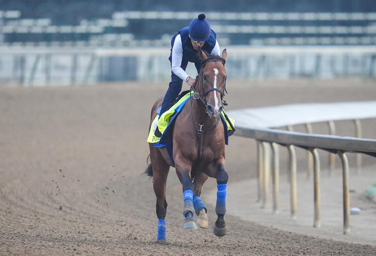 Why each Kentucky Derby 2026 horse can, can't win Run for the Roses
