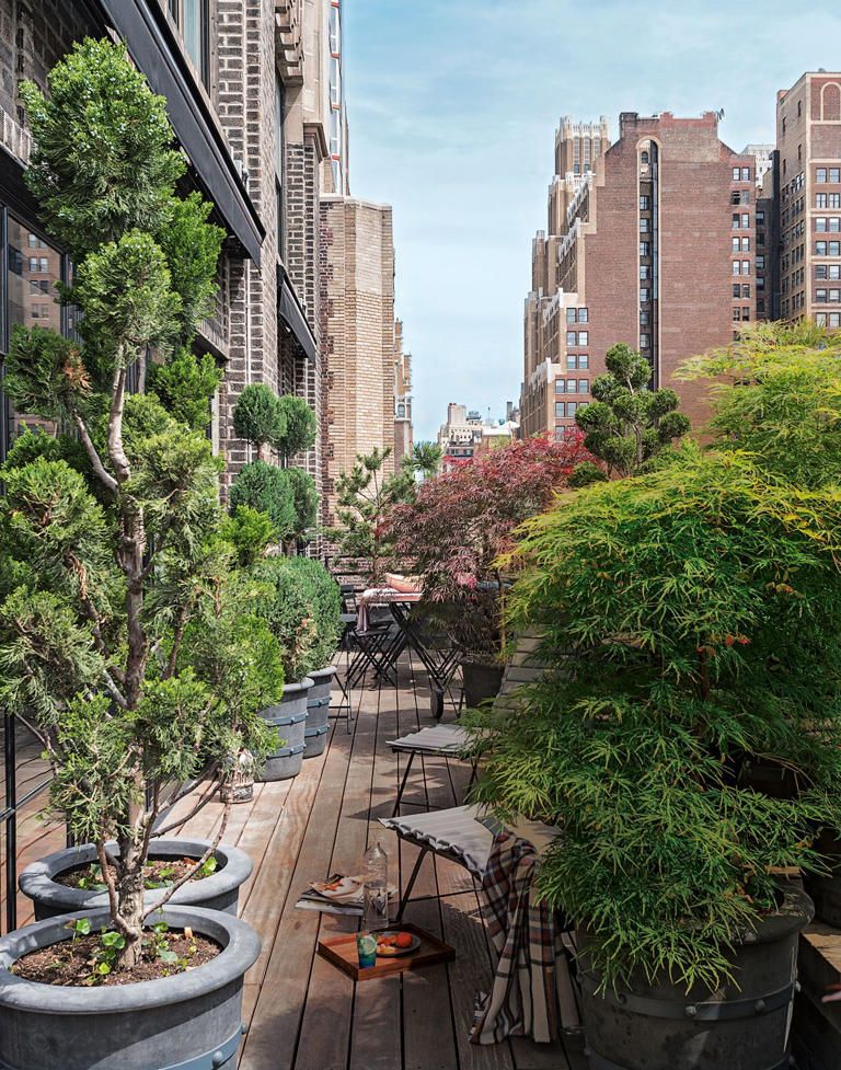 What is a pocket garden? Experts explain their importance and how to ...