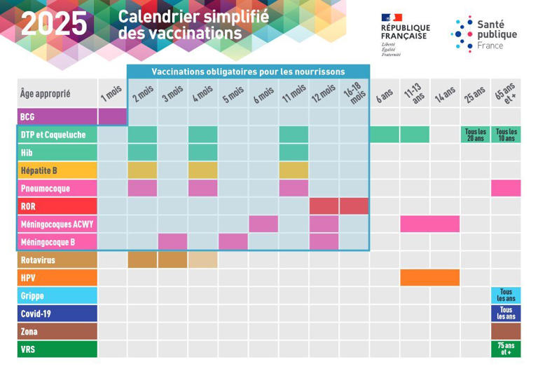 Vaccination 2025 : le calendrier simplifié rappelle les vaccins ...