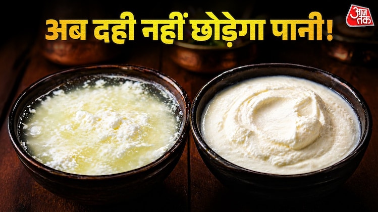 दही के ऊपर तैरता पानी देख हो जाते हैं परेशान? अपनाएं ये 4 ट्रिक्स ...
