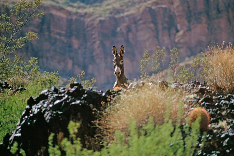 Pod hranou světa: Díl pátý - Utíkejte! Blesková povodeň v patách a ...