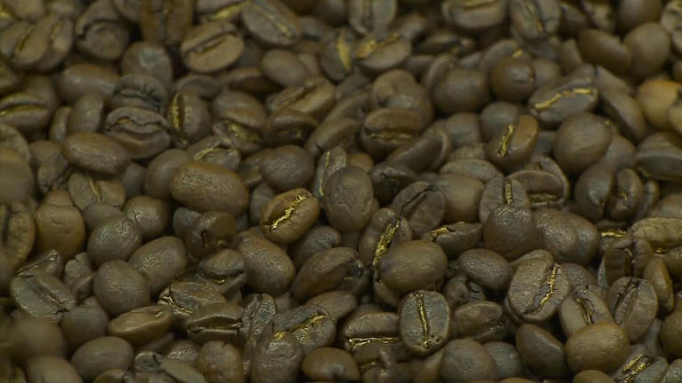 New research links coffee drinkers to lower risk of serious disease and ...