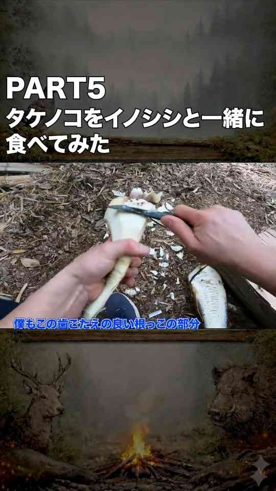 PART5 自分の竹林のタケノコをイノシシと一緒に食べてみた!