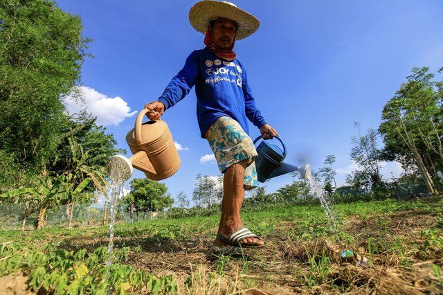 Urban poor groups urged to take up urban farming amid rising food costs