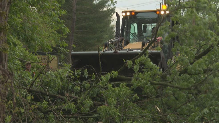 Thousands remain without power after strong winds take down trees ...
