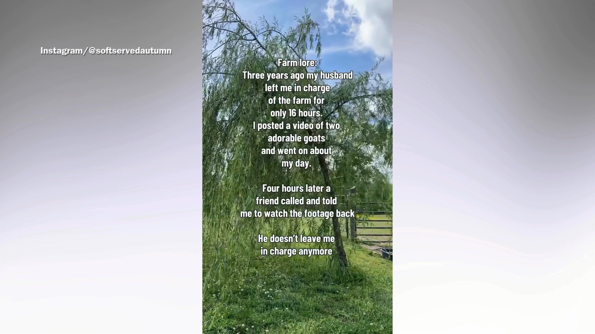 Woman thinks she sent ‘adorable’ video to husband—then she watches it back