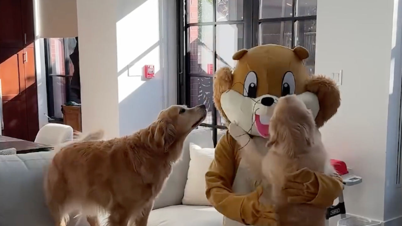 Watch Ellie and Emma react to a 6 foot squirrel