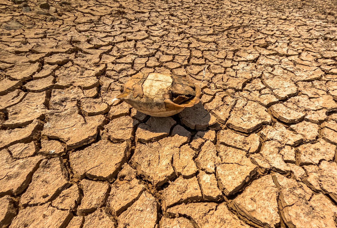 India heatwave alert 2026: Govt issues emergency warning; here's what ...