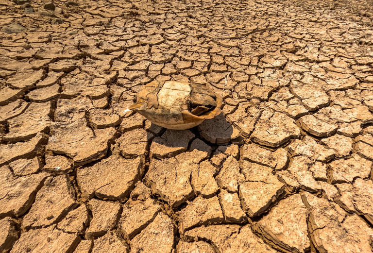 India heatwave alert 2026: Govt issues emergency warning; here's what ...