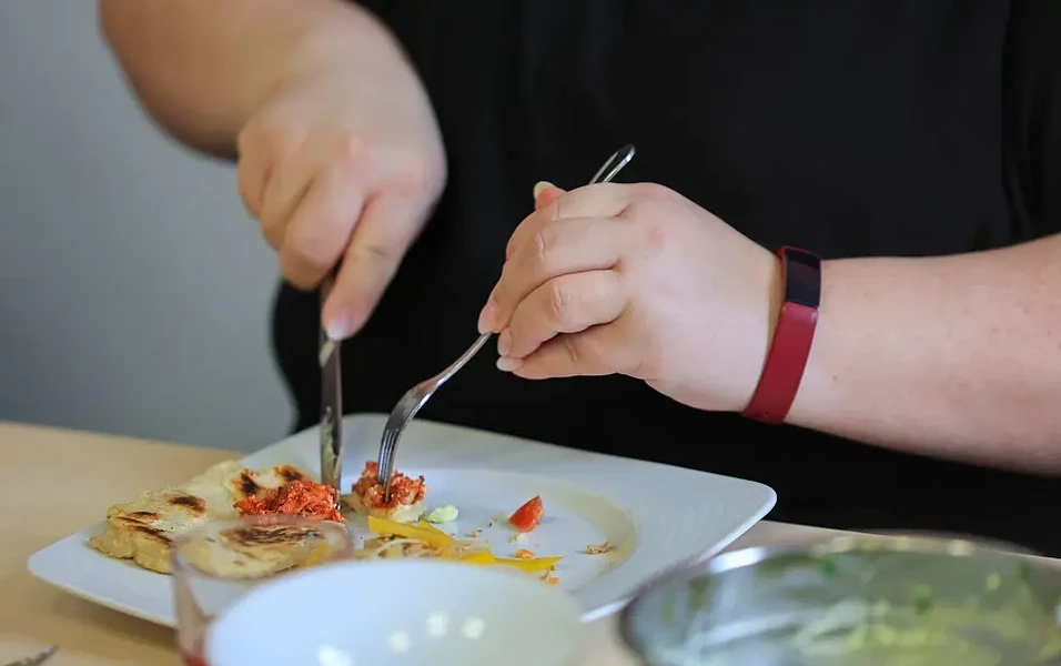 Lifetime obesity history reshapes cancer risk estimates