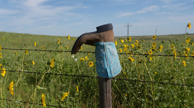 Ever notice a cowboy boot on top of someone's fence post? Here's why it ...