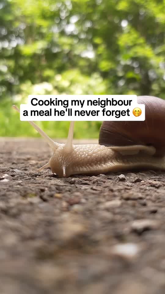This video shows a meal that turns into revenge