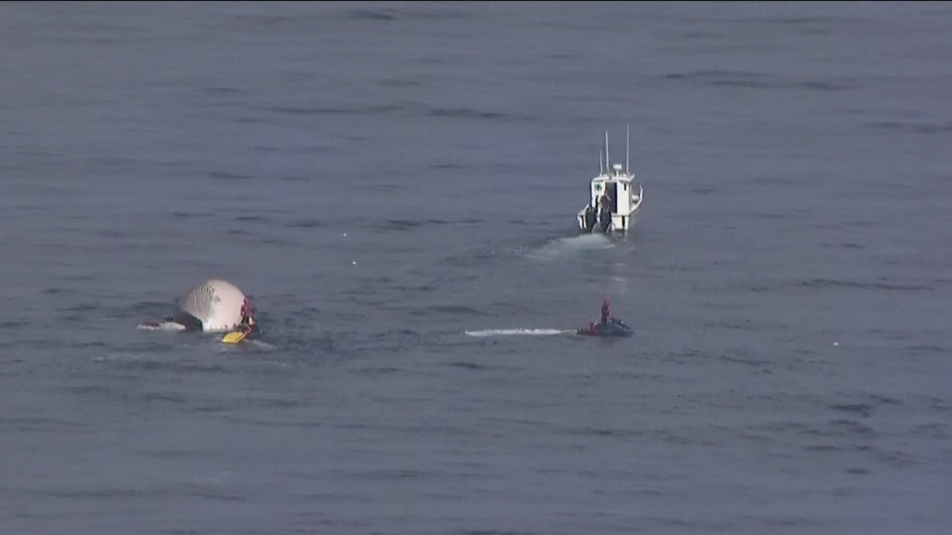 Shark warning after dead whale found off coast near Encinitas