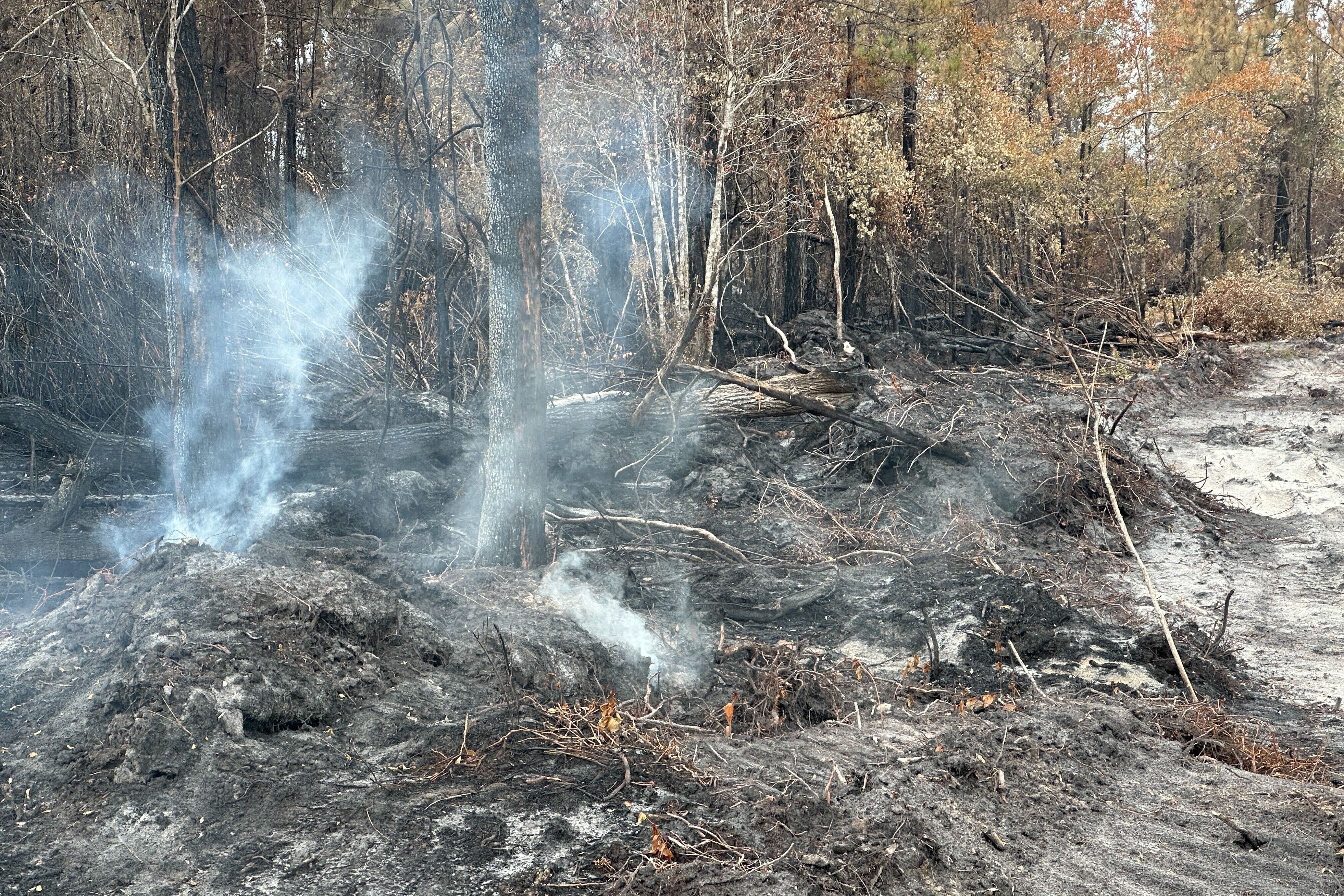 Live updates: Historic Georgia wildfire now 32% contained, Florida ...