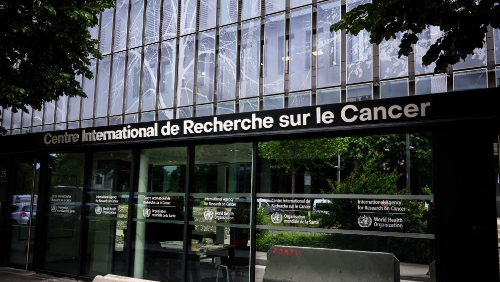 Lifetime obesity history reshapes cancer risk estimates