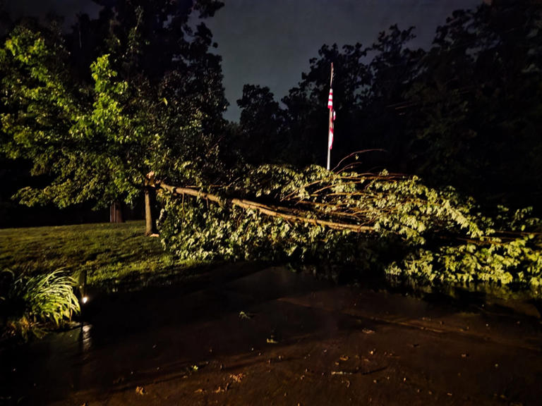 Separate wind events, 'widespread damage' and injuries reported in ...