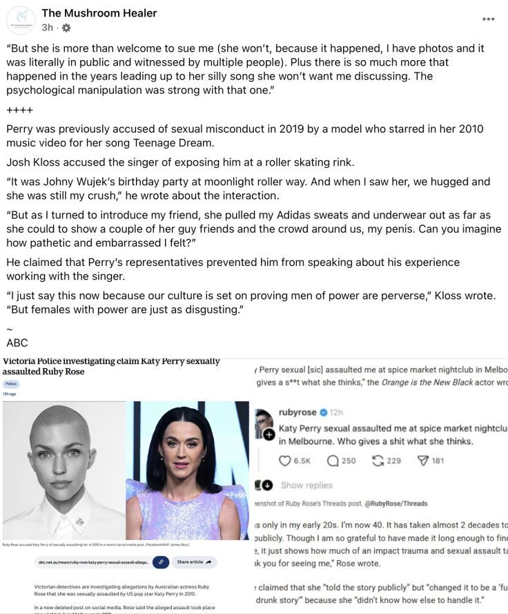 Katy Perry controversy deepens as Teenage Dream model claim resurfaces