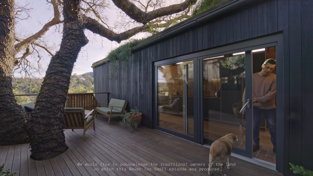 Watch a 54sqm tree house built around a 60-year-old tree - "Unreal design"