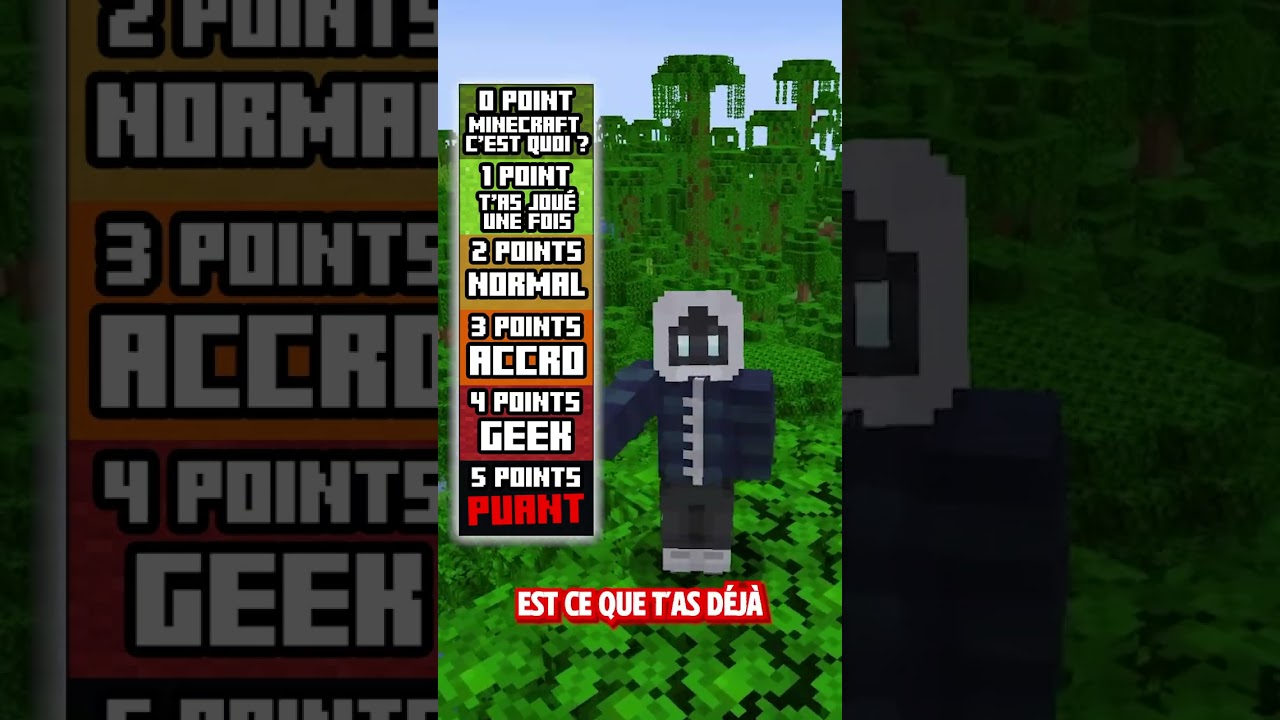 Es-tu un puant sur MINECRAFT?