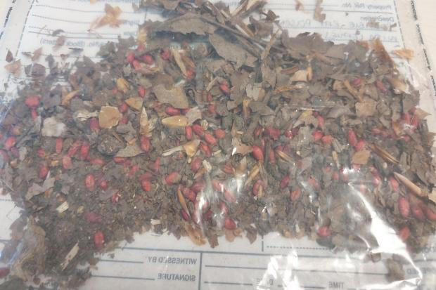 Police patrols stepped up amid rat poison fears for dog walkers in ...