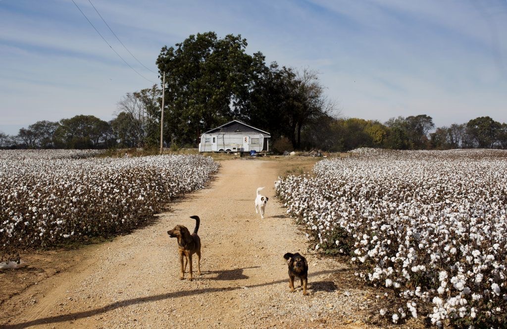 15 people share the worst place in America they've ever visited
