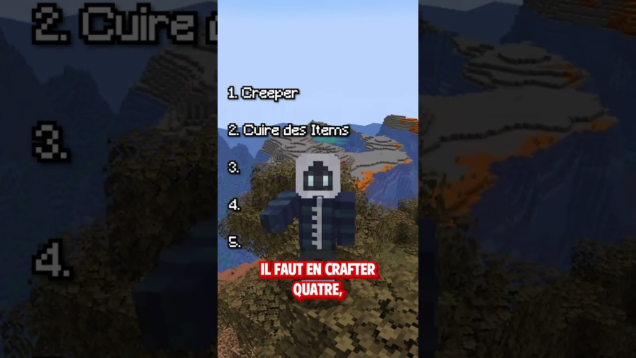 Quiz MINECRAFT pour les noobs #2