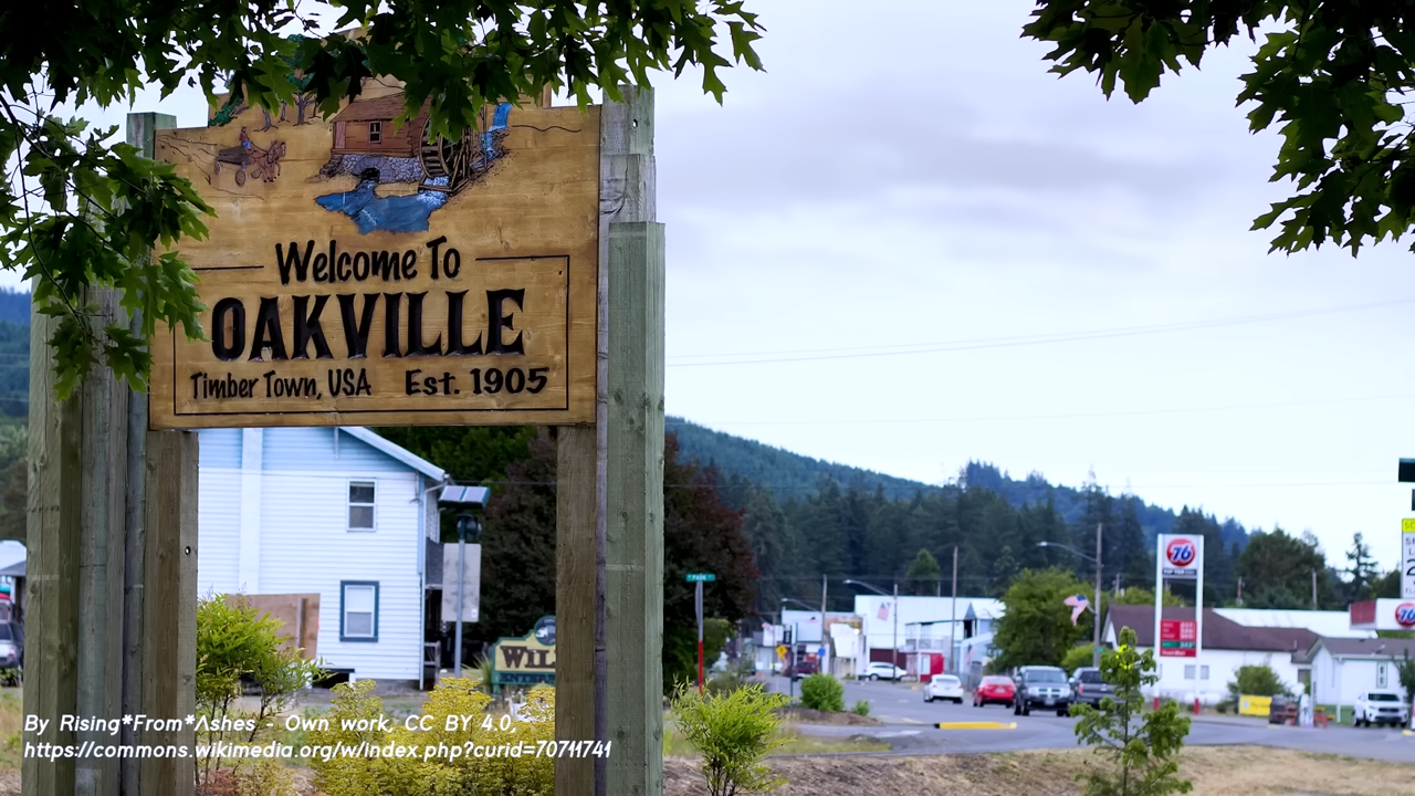 A strange jelly fell from the sky… then an entire town got sick