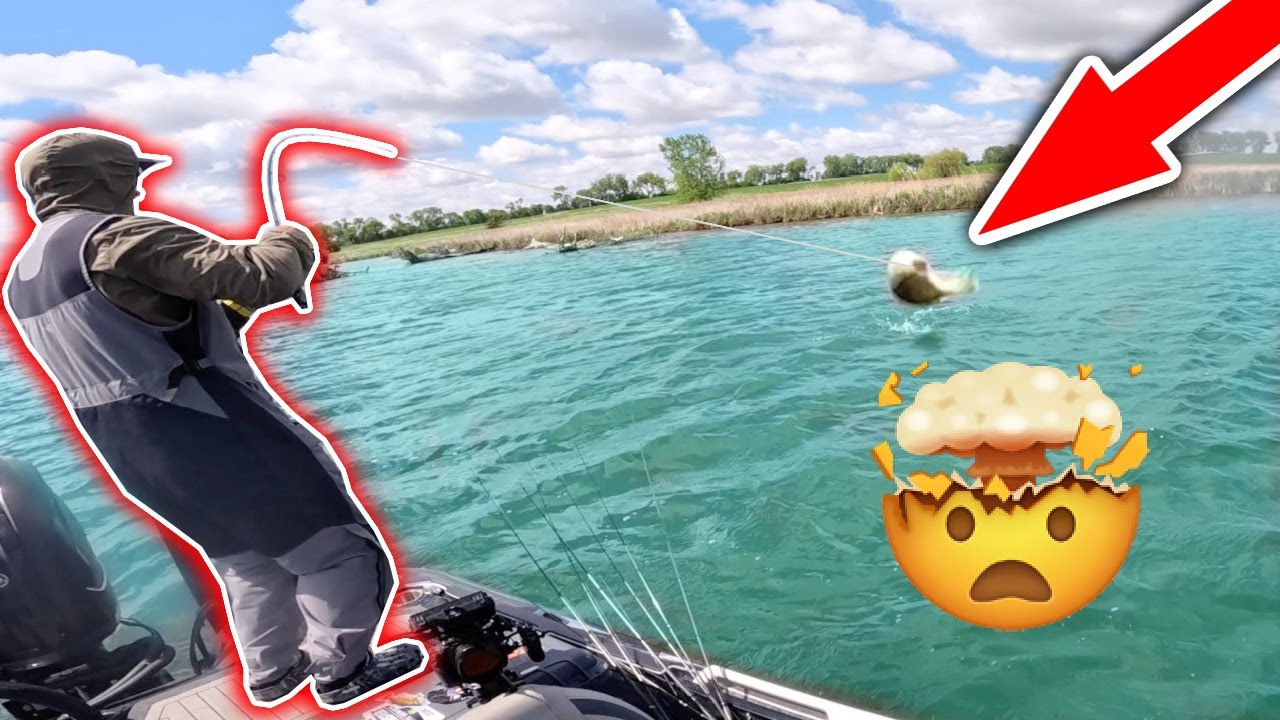 We accidentally caught the biggest fish yet