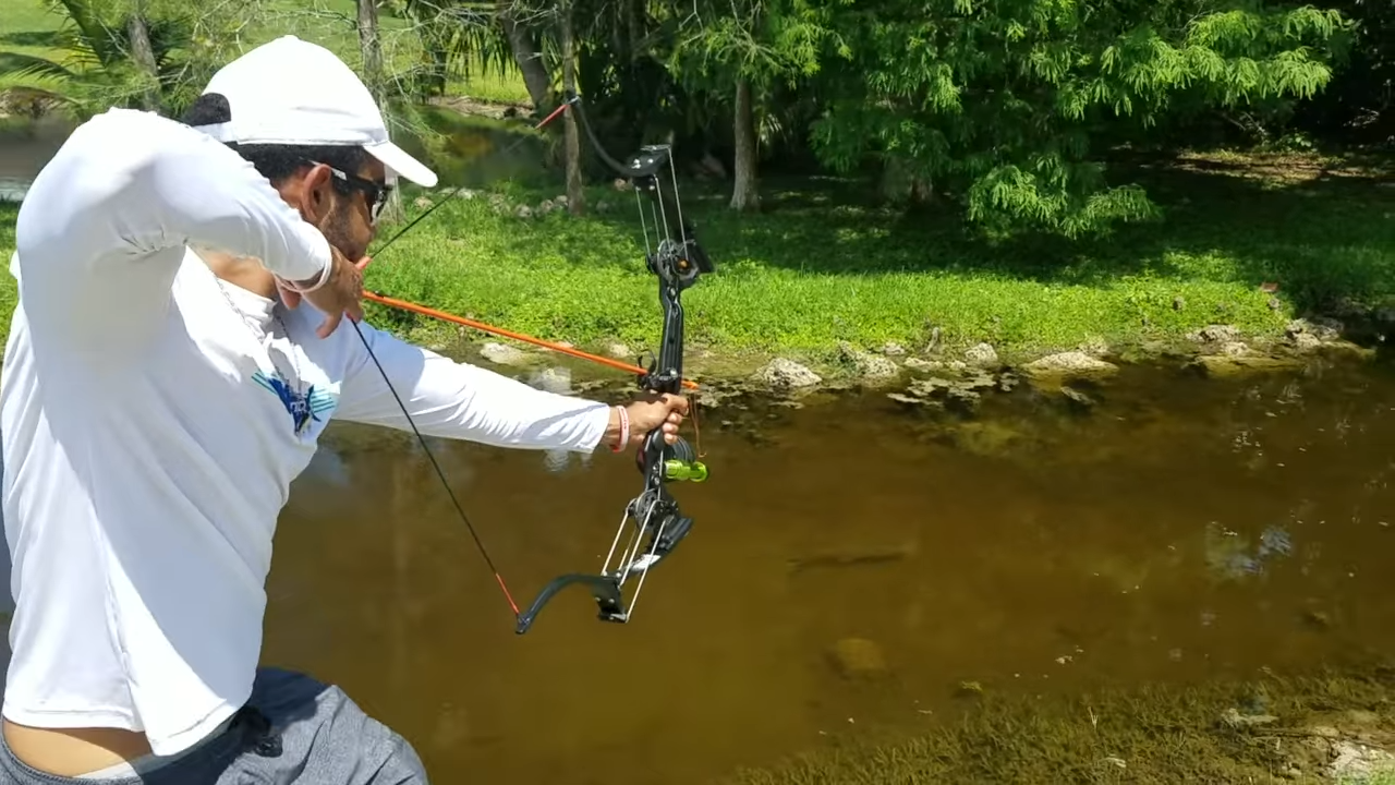 This wasn’t fishing… they were taking them down one by one