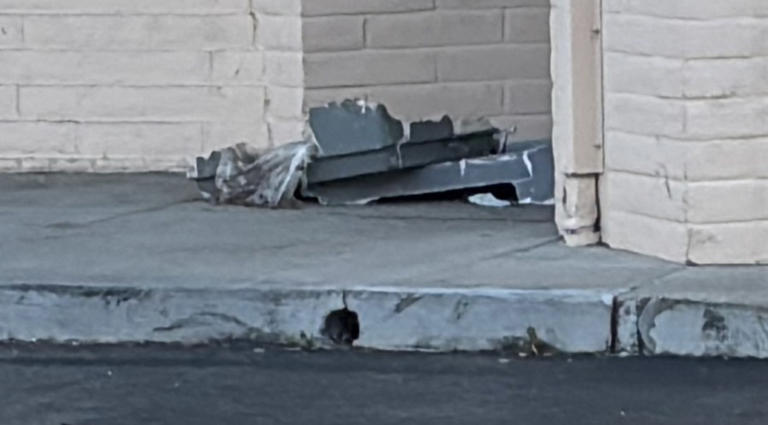 Deputies investigate possible attempted burglary after car drives into ...