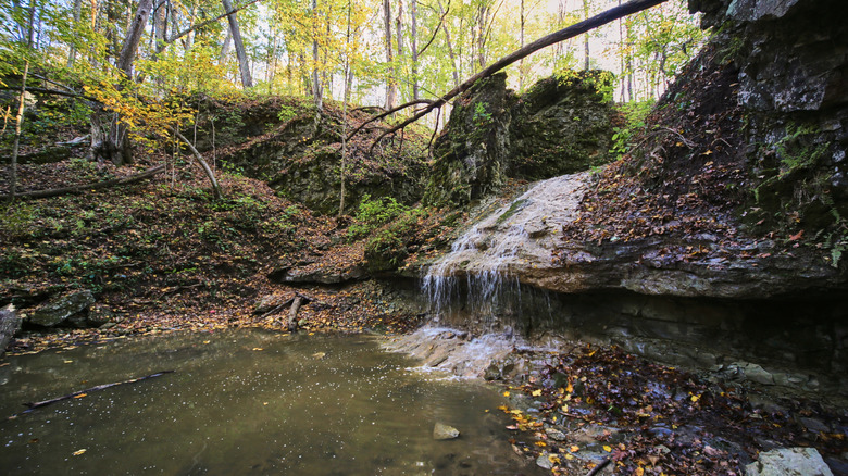Escape the hustle of Fort Wayne for Indiana's serene state forest ...