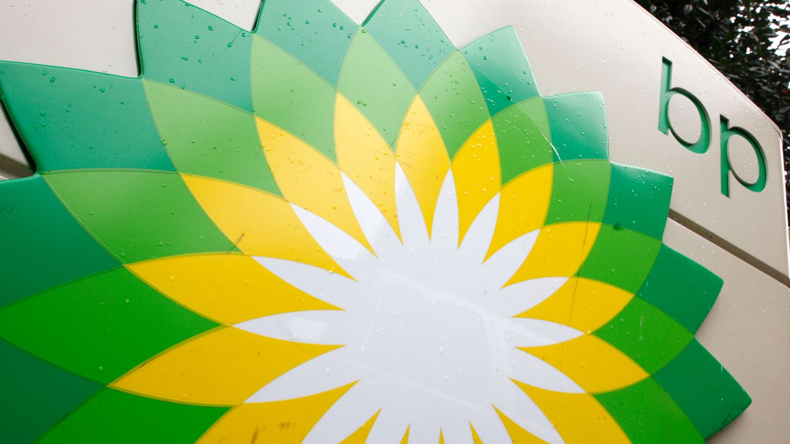 Former BP boss hits back at oil giant after his ousting
