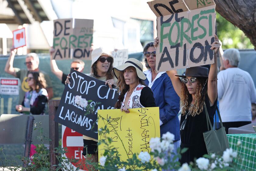 Letters to the editor: Protests against the felling of trees in Laguna ...
