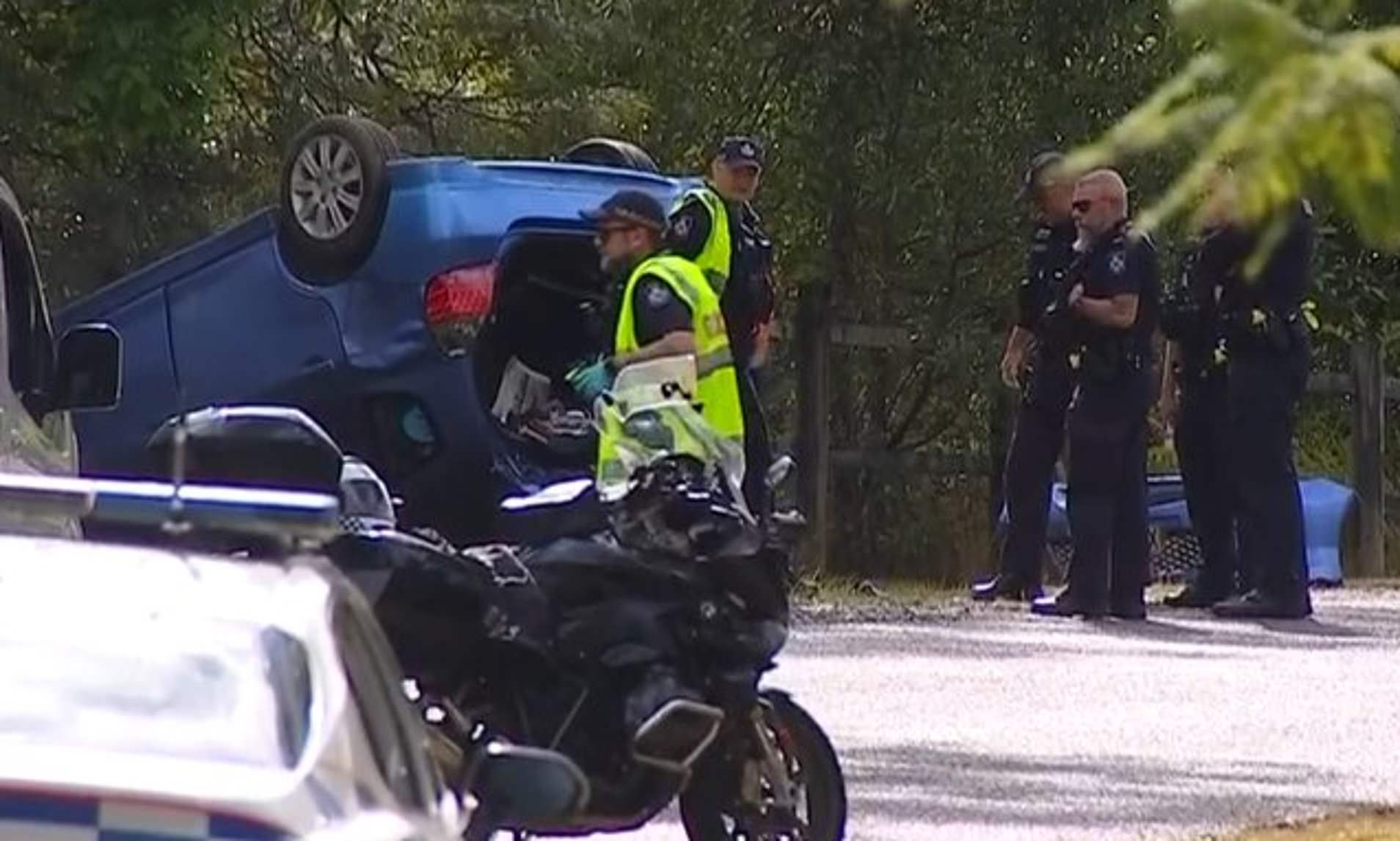 Freak accident kills woman out for walk with her pet dog after car ...