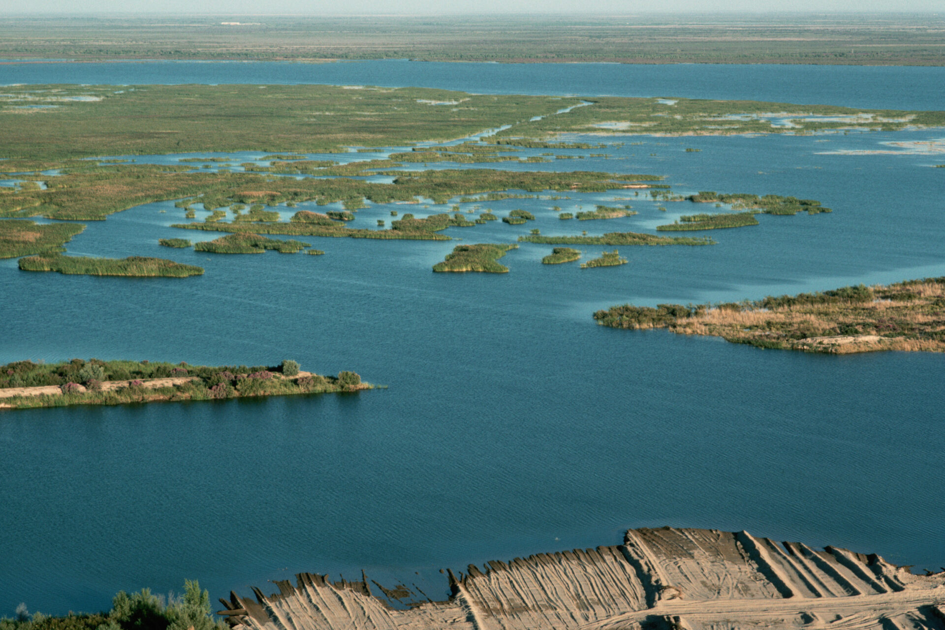 The rebirth of the Aral Sea
