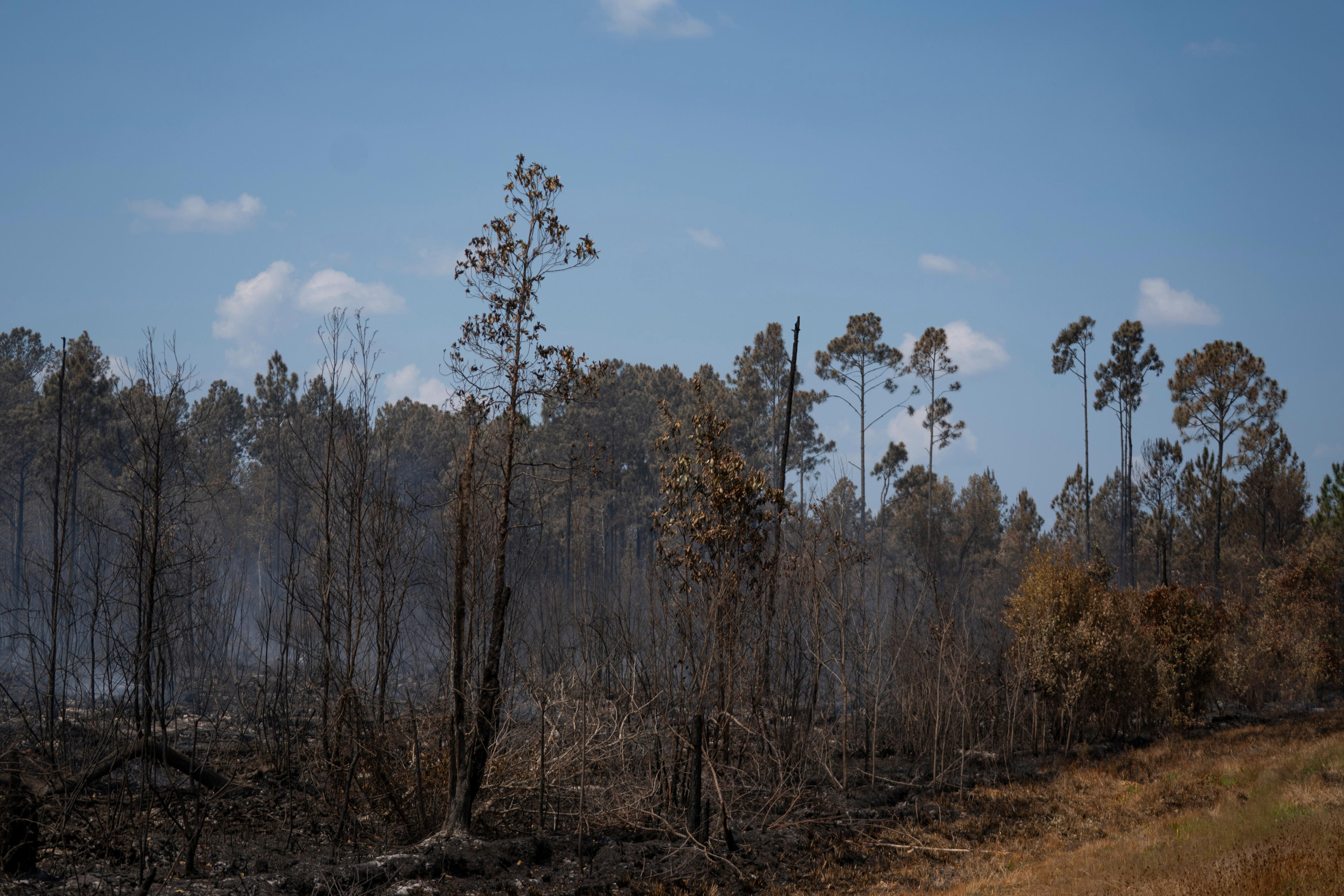 Wildfires in Georgia: Officials give positive update for 2 largest fires
