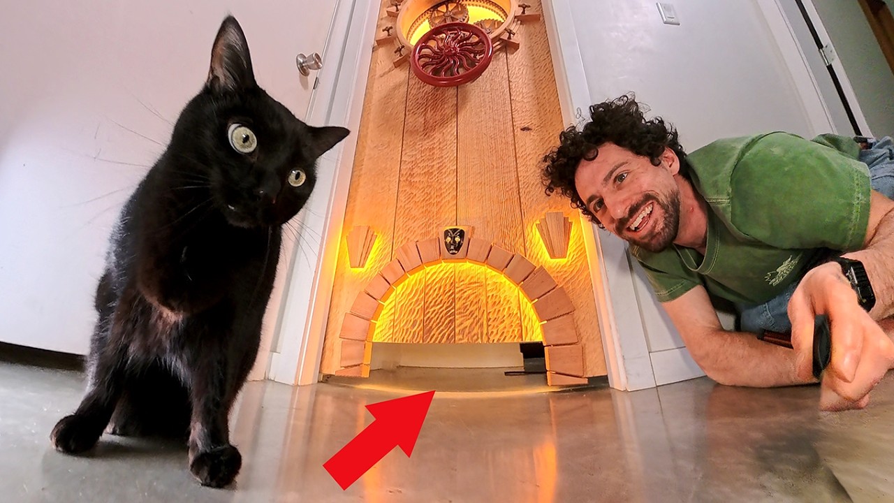 I built an over-engineered door for my wobbly cat