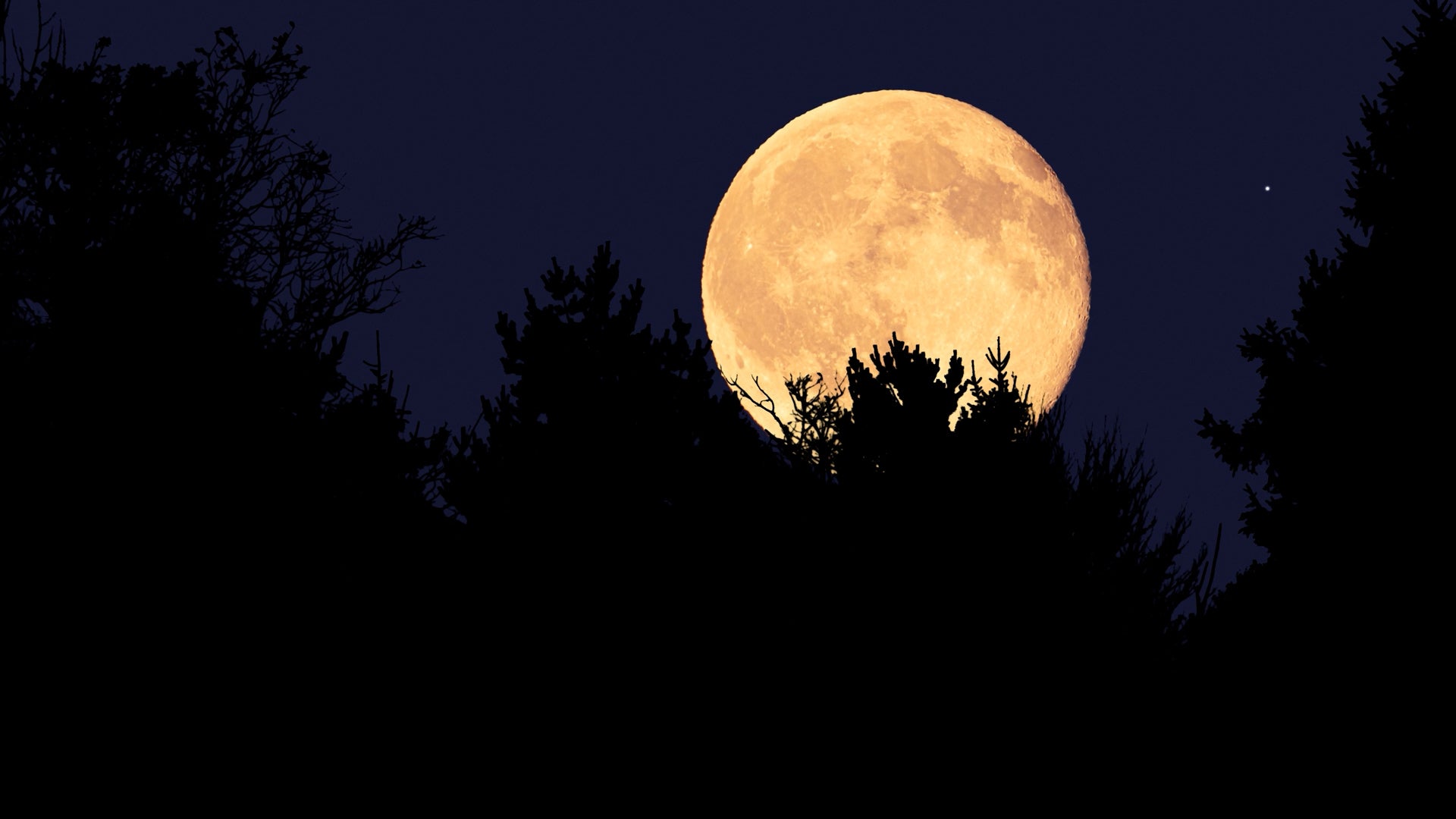 May’s lunar duo: When to see the flower moon, rare blue moon